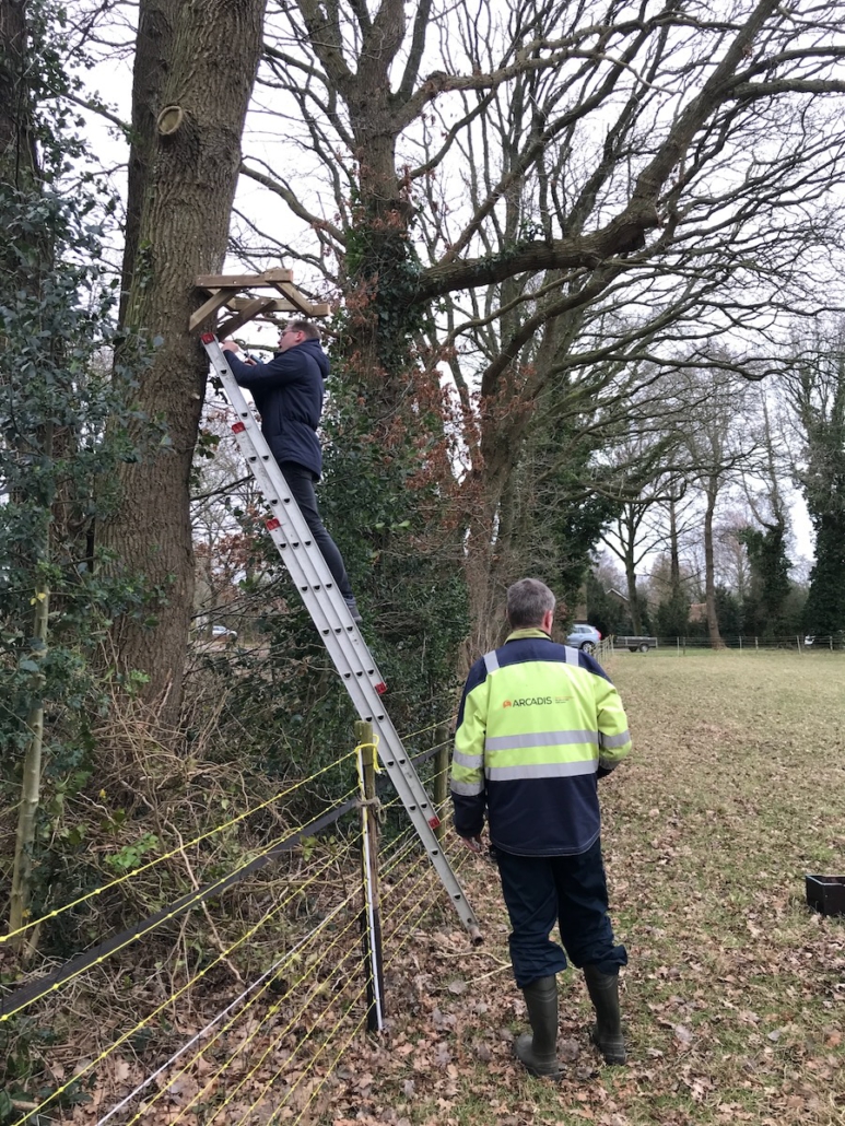 Twee uilenkasten geplaatst aan de Gagels – InGasteren